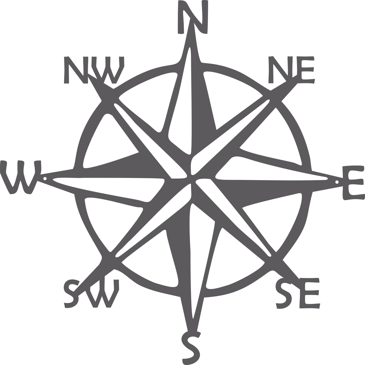 Compass - CUSTOM – Turtle Laboratories