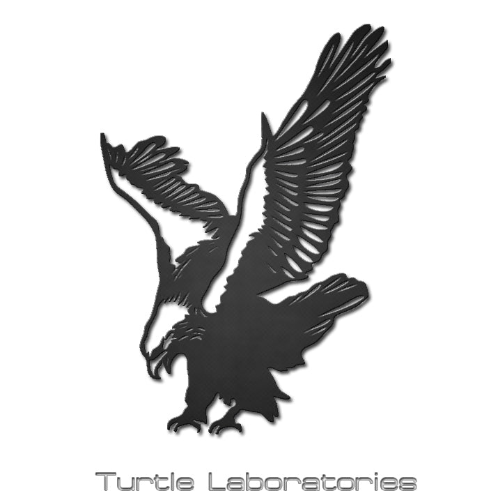 Eagle Diving – Turtle Laboratories