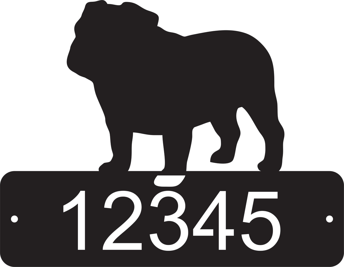 Address Signs – Turtle Laboratories