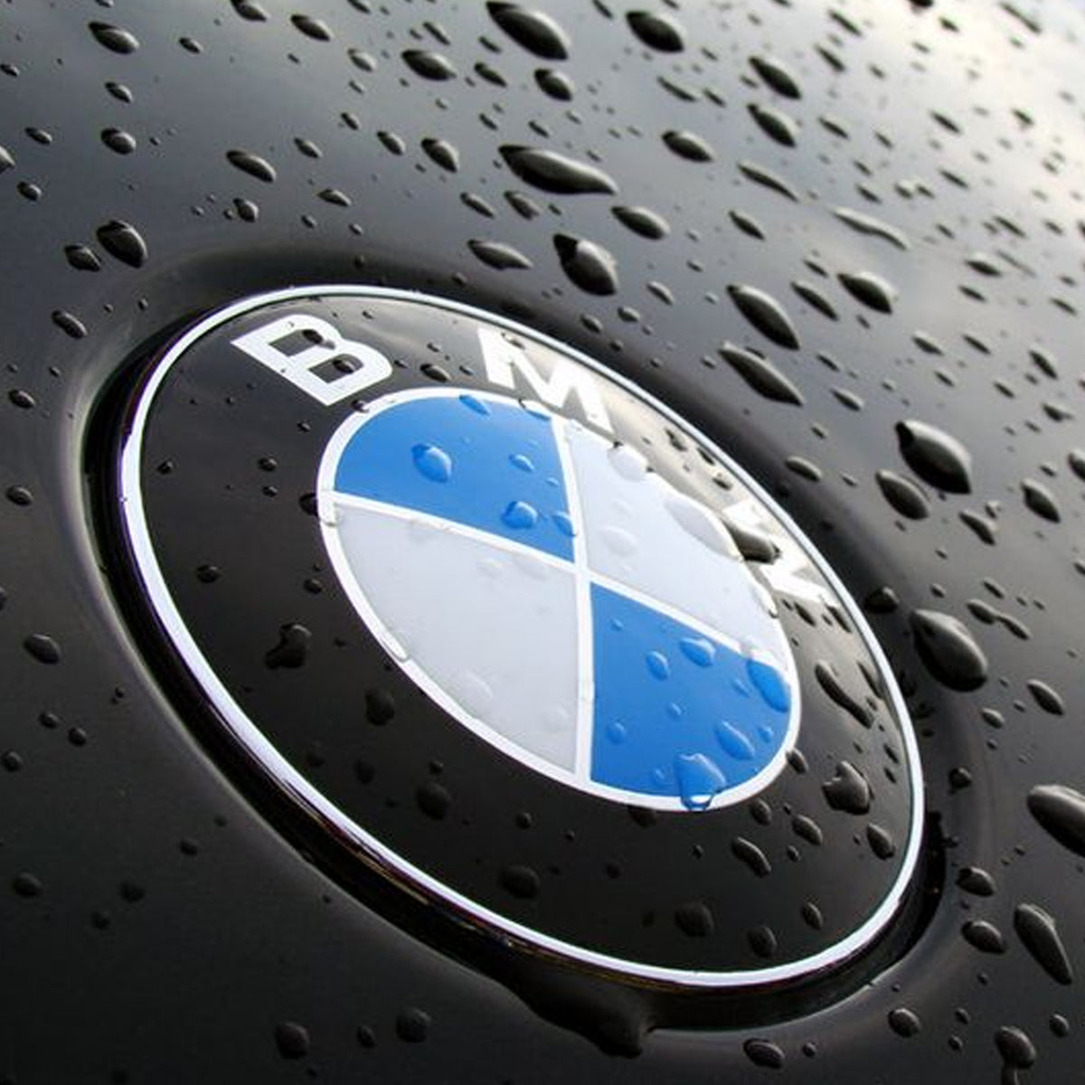 BMW – Turtle Laboratories