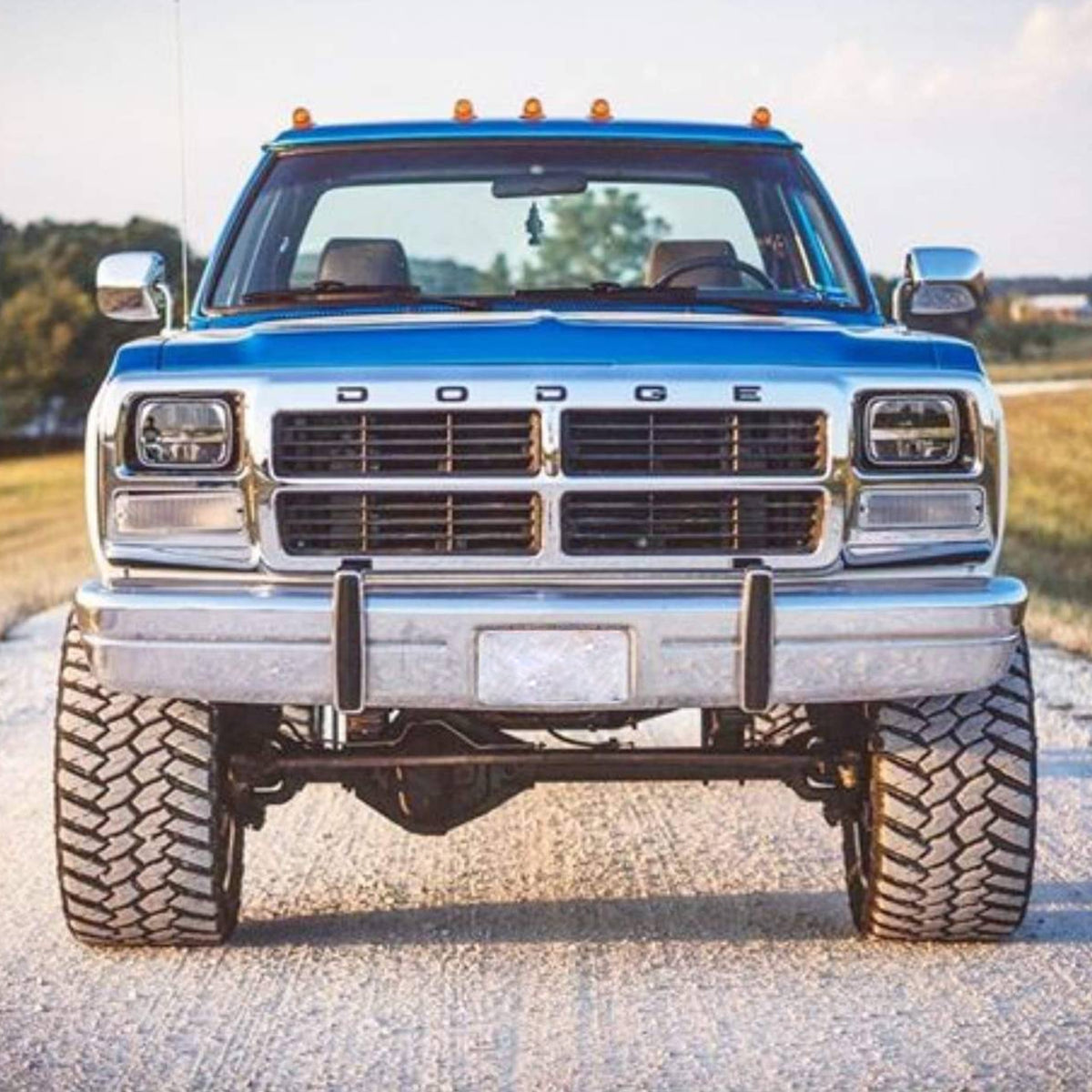 Dodge – Turtle Laboratories