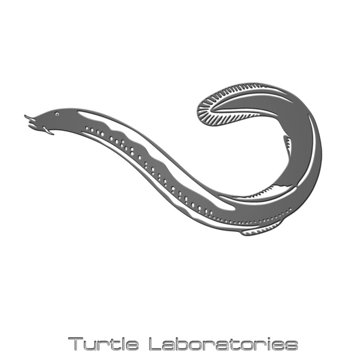 Hagfish – Turtle Laboratories
