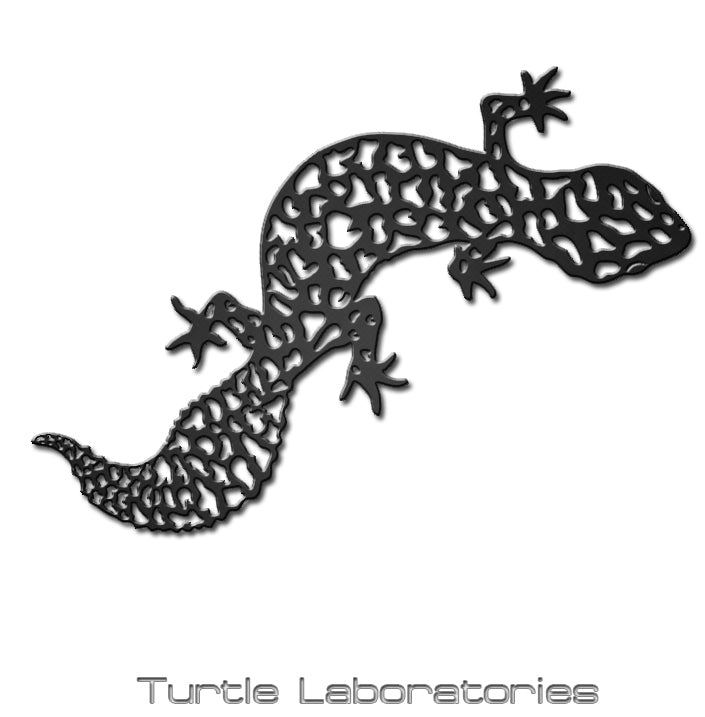 Leopard Gecko – Turtle Laboratories