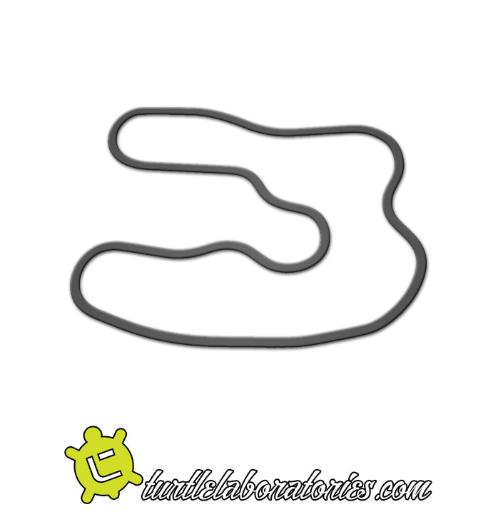 Wilzig Racing Manor Race Track Sculpture – Turtle Laboratories